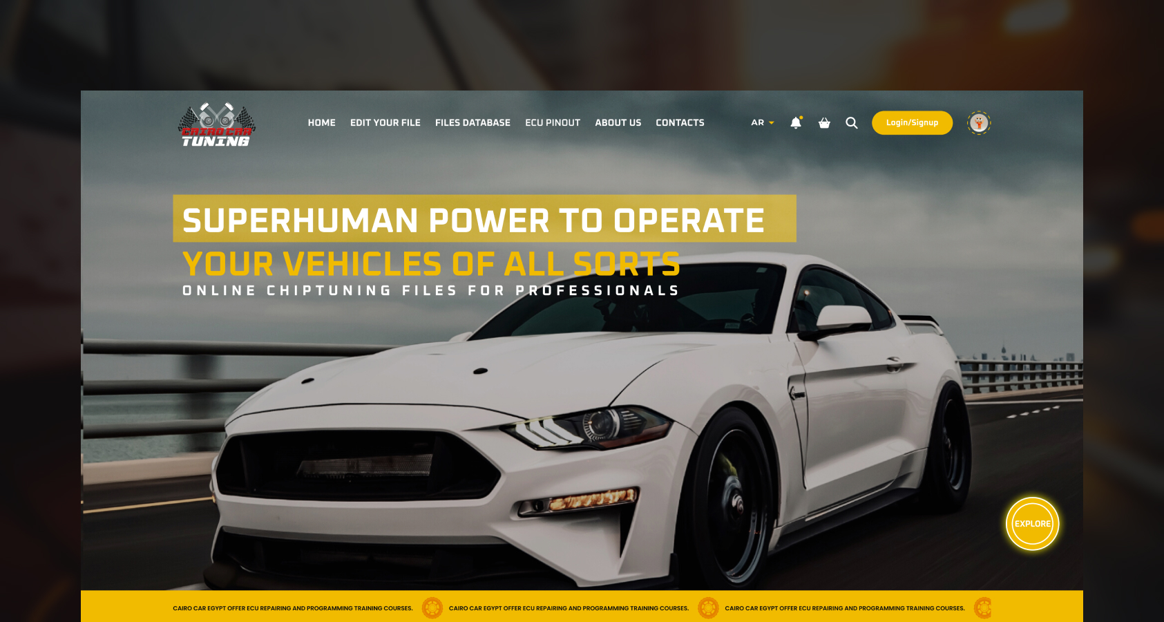 Cairo Car Website - Right Mind