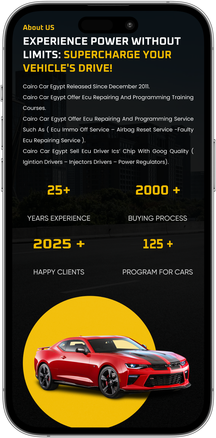 Cairo Car Website - Right Mind