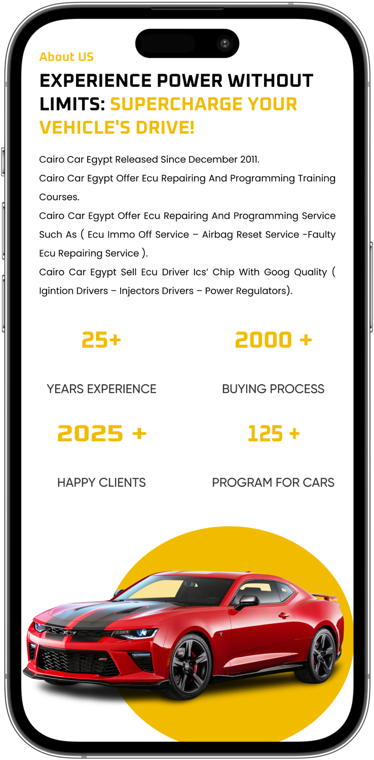 Cairo Car Website - Right Mind